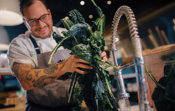 What's New - True Food Kitchen